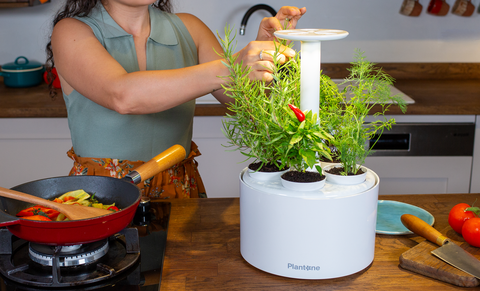 Plantone - Innovative Indoor Gardening Solutions
